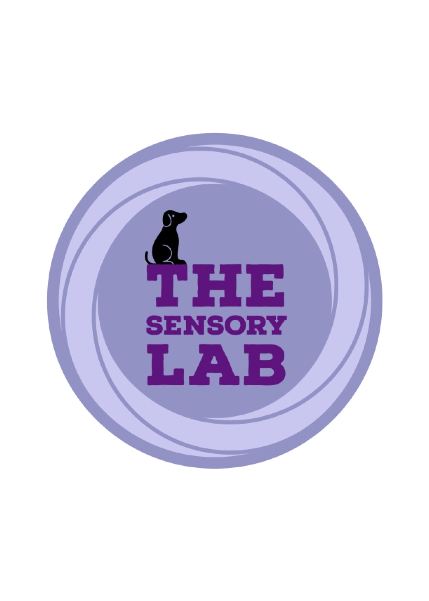 The Sensory Lab for Sensory Solutions and Fidgets Teens and Adults