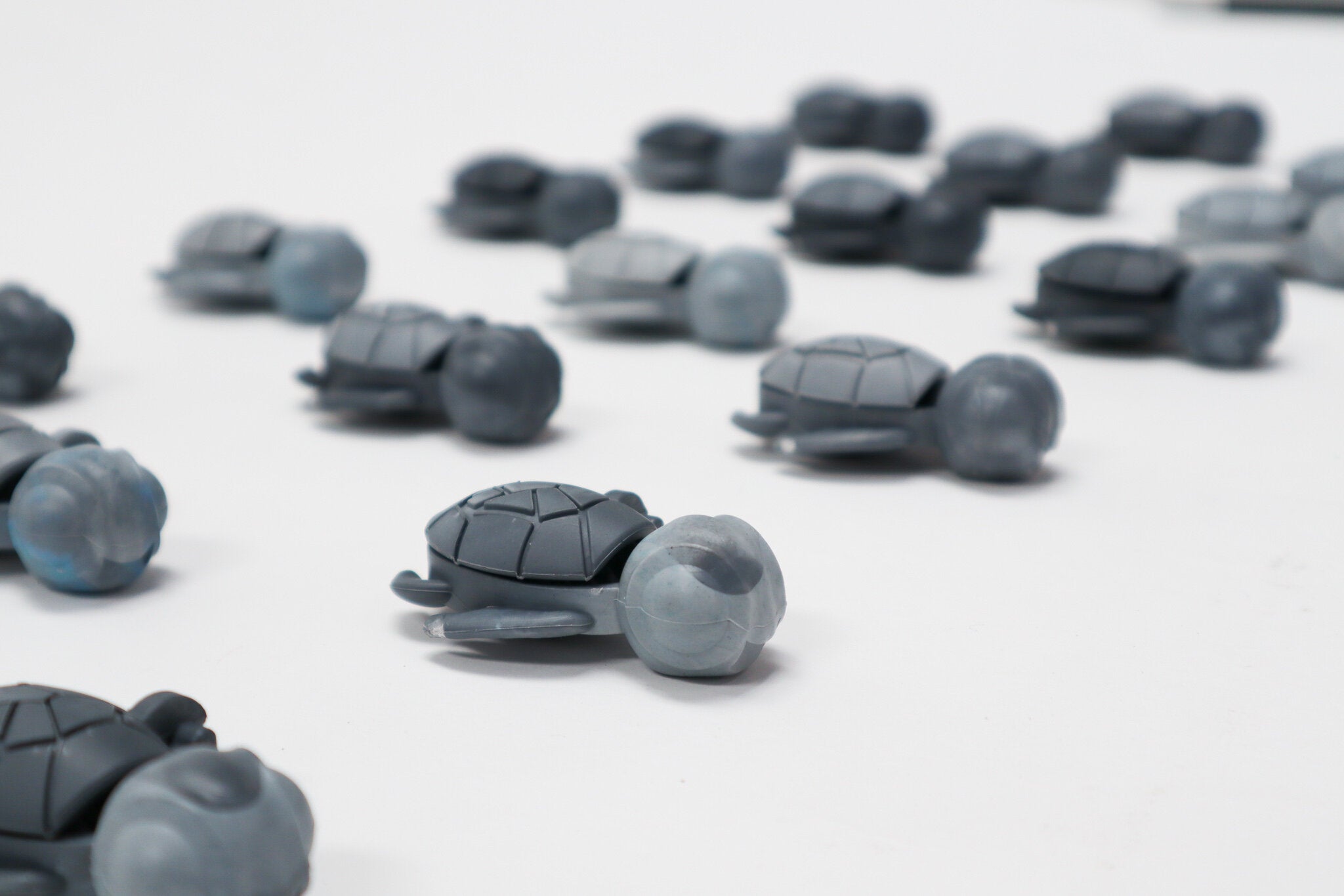 Calm Buddi Turtle – The Sensory Lab